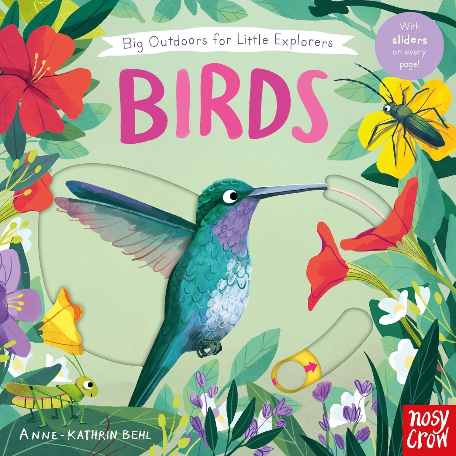 BIG OUTDOORS FOR LITTLE EXPLORERS: BIRDS (SLIDERS) (BOARD) – Lucky & Gray